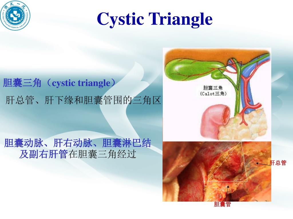 PPT - The First Affiliated Hospital, Zhejiang University School of ...