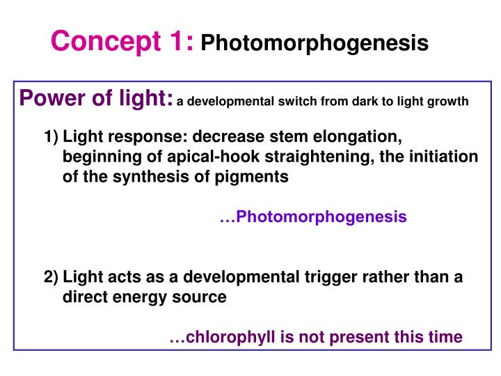PPT - Biol 352 Lecture 11 Phytochrome and Photomorphogenesis February ...