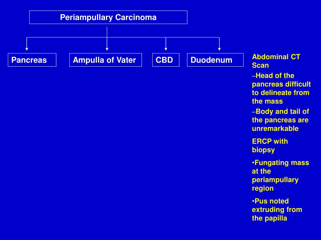PPT - CASE MANAGEMENT, PRESENTATION, DISCUSSION AND SHARING OF ...