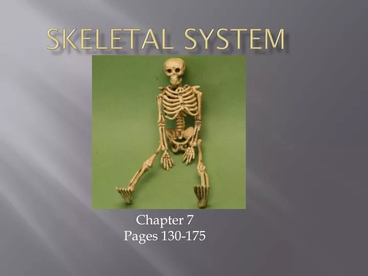 PPT - Skeletal System PowerPoint Presentation, free download - ID:4803528 PPT - Skeletal System PowerPoint Presentation, free download - ID:4803528