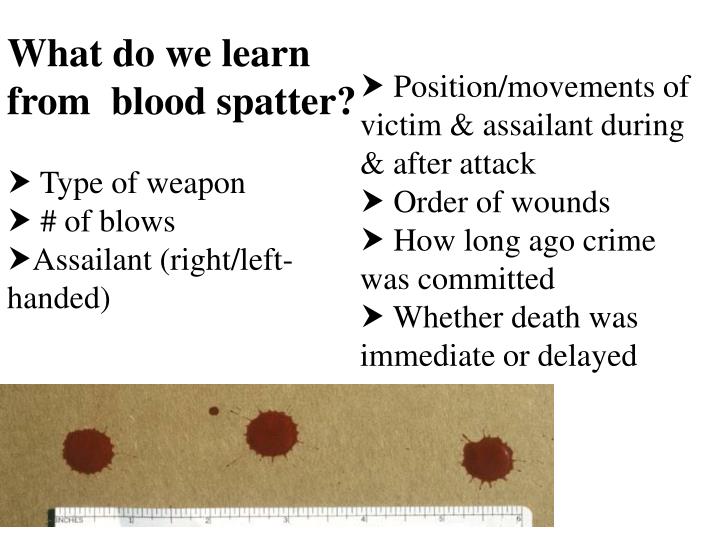 PPT - BLOOD SPATTER ANALYSIS or Blood Pattern Analysis = BPA PowerPoint ...