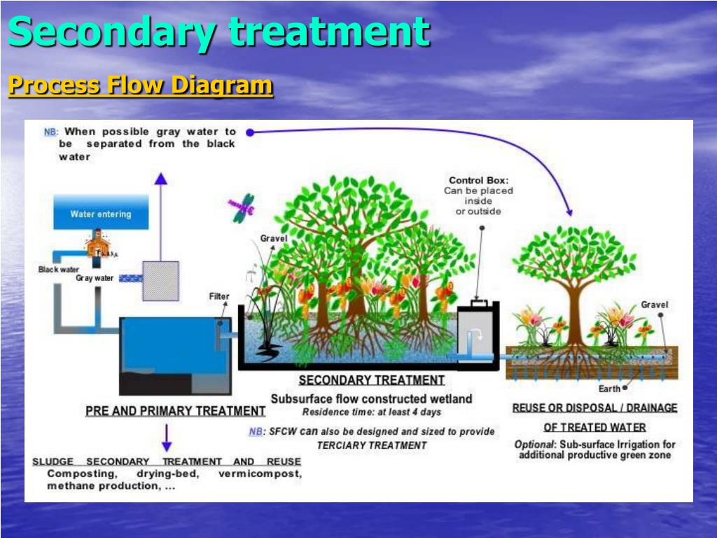 PPT - G.E.SOCITIES COLLEGE OF EDUCATION,SANGAMNER . PROJECT ON:- WASTE ...