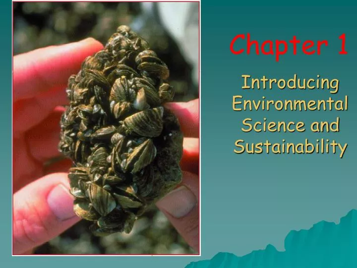PPT - Introducing Environmental Science and Sustainability PowerPoint ...