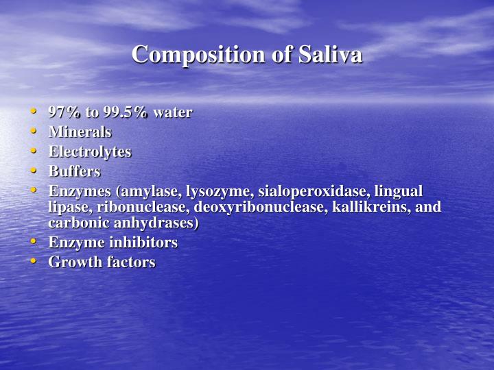 PPT - Saliva PowerPoint Presentation - ID:4804838