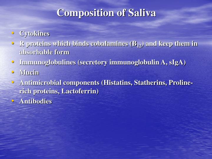 PPT - Saliva PowerPoint Presentation - ID:4804838