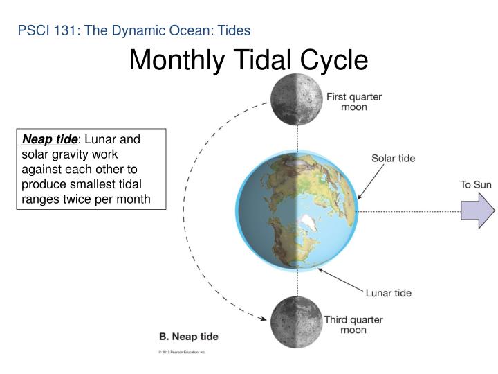 PPT - The Dynamic Ocean PowerPoint Presentation - ID:4805512