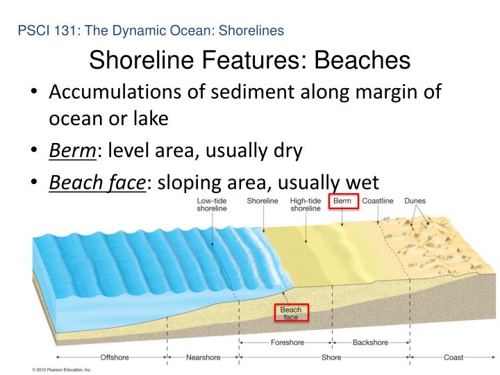 PPT - The Dynamic Ocean PowerPoint Presentation - ID:4805512