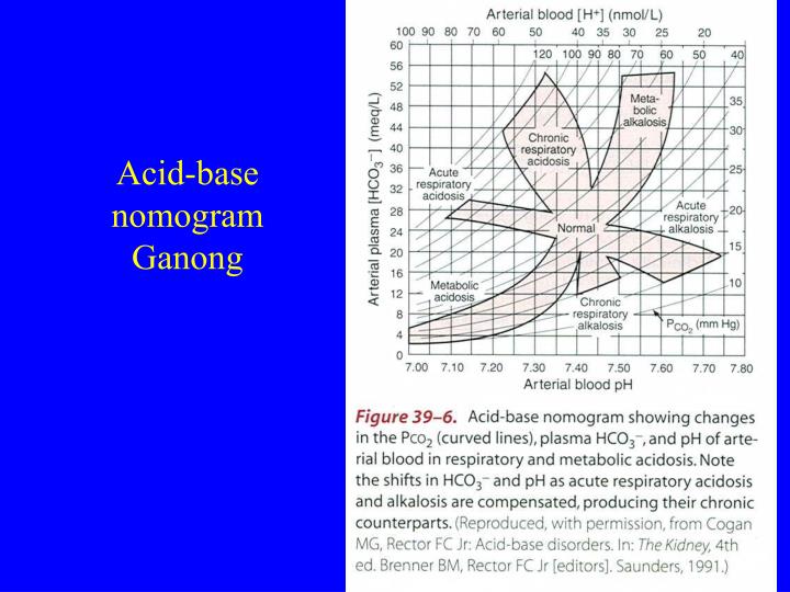PPT - Diffusion, partial pressures, and acid-base physiology PowerPoint ...