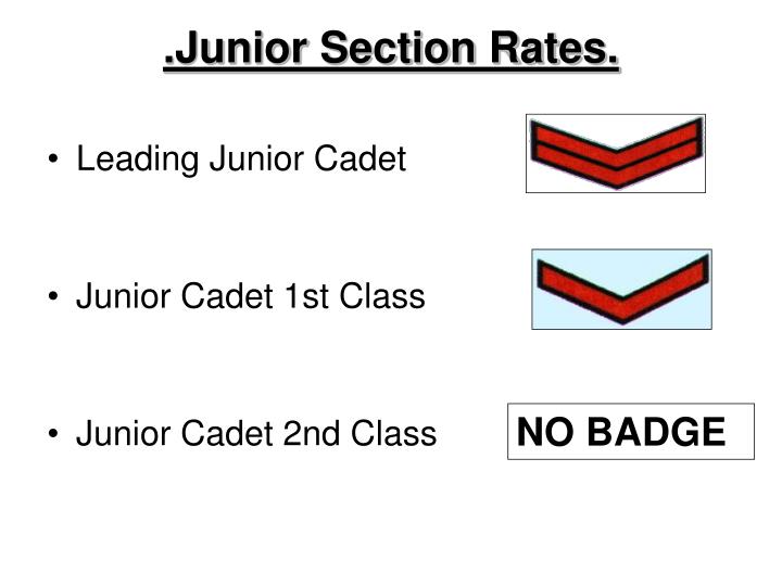 PPT - .Ranks And Rates. .Within The Sea Cadets. PowerPoint Presentation ...