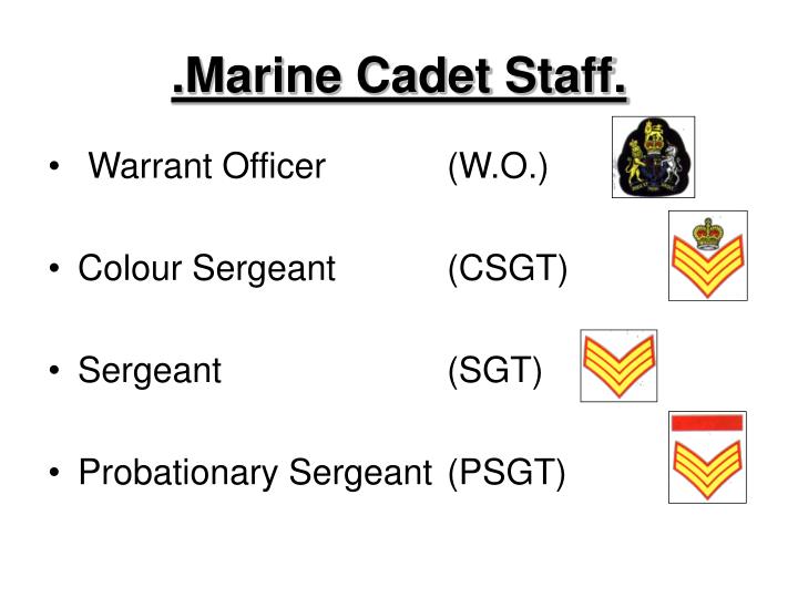 PPT - .Ranks And Rates. .Within The Sea Cadets. PowerPoint Presentation ...