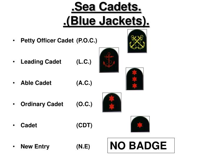 PPT - .Ranks And Rates. .Within The Sea Cadets. PowerPoint Presentation ...