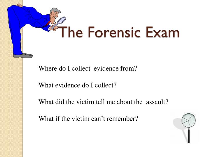 PPT - Forensic Nursing 101 PowerPoint Presentation - ID:4807484