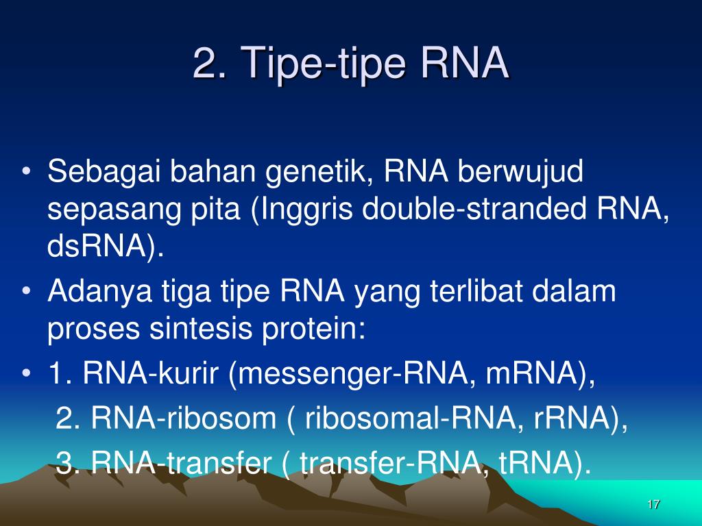 PPT - PEWARISAN PADA TINGKAT SEL DAN MOLEKUL PowerPoint Presentation ...