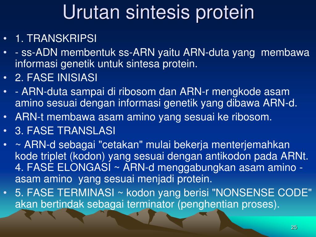 PPT - PEWARISAN PADA TINGKAT SEL DAN MOLEKUL PowerPoint Presentation, free download - ID:4808036