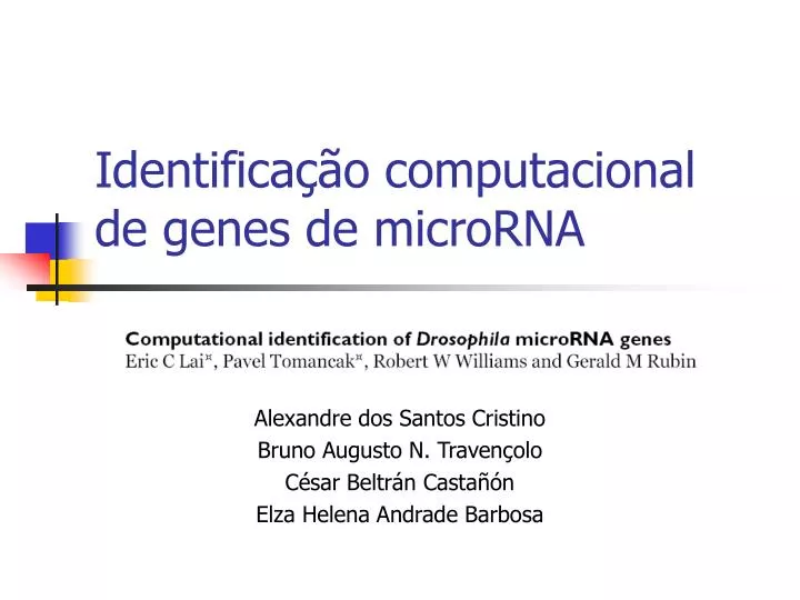 PPT - Identificação computacional de genes de microRNA PowerPoint ...