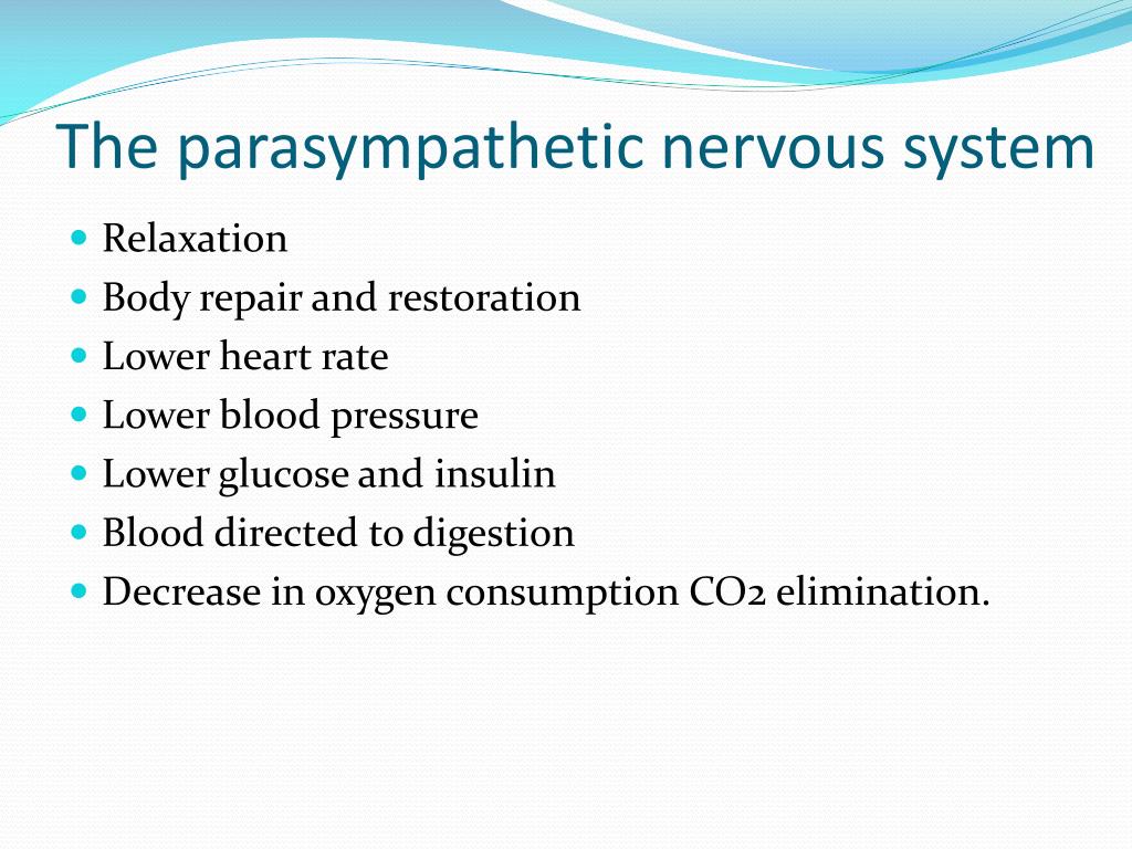 PPT - All YOU EVER WANTED TO KNOW ABOUT STRESS PowerPoint Presentation ...