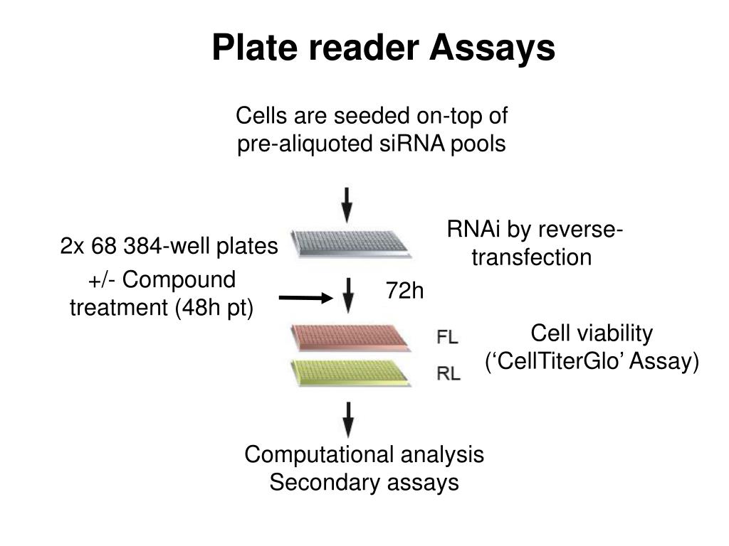 PPT - High-throughput cell-based assays PowerPoint Presentation, free ... PPT - High-throughput cell-based assays PowerPoint Presentation, free ...