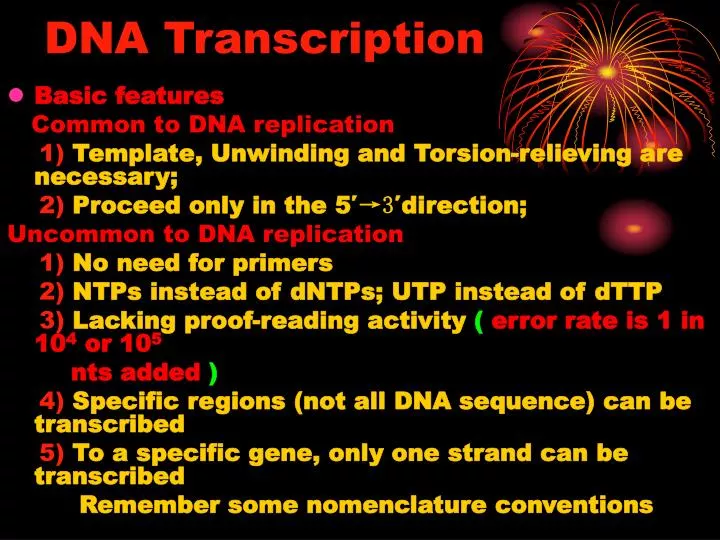 PPT - DNA Transcription PowerPoint Presentation, free download - ID:4808307
