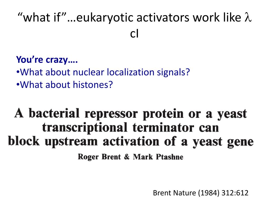 PPT - A Eukaryotic Transcriptional Activator Bearing the DNA ...