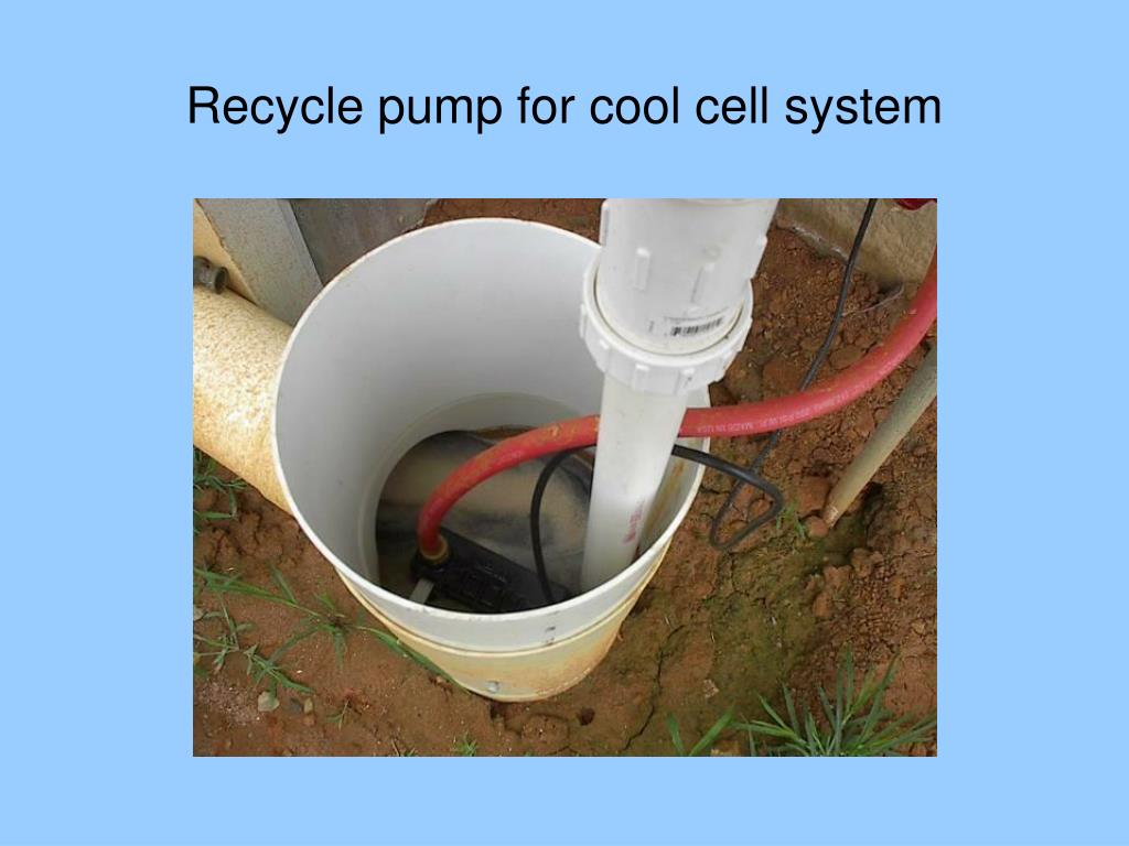 PPT - Poultry Equipment Used On Broiler Farms PowerPoint Presentation ...