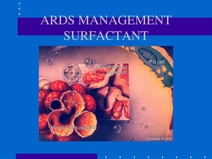 PPT - MANAGEMENT OF ARDS PowerPoint Presentation - ID:4810075