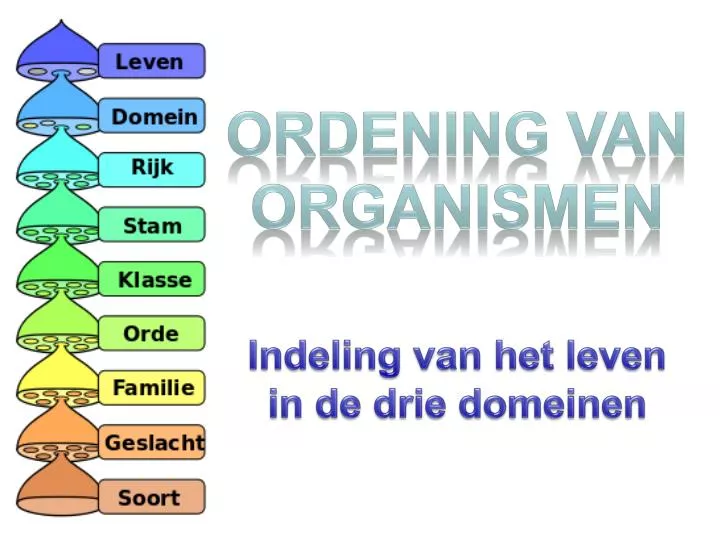 PPT - Ordening van organismen PowerPoint Presentation - ID:4810730