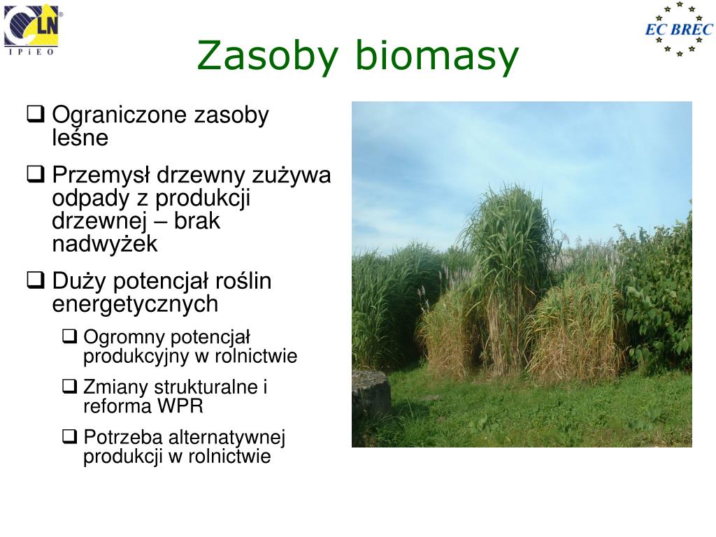PPT - Rynek biomasy stałej w Polsce dr Magdalena Rogulska ipieo.pl ...