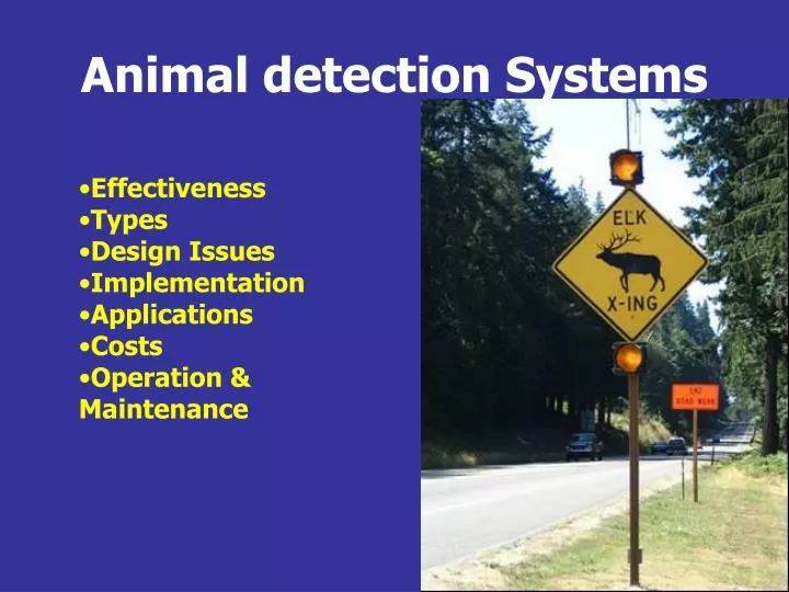 PPT - Animal detection Systems PowerPoint Presentation, free download ...