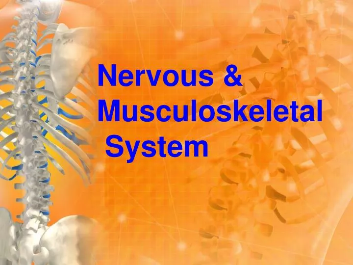 PPT - Nervous & Musculoskeletal System PowerPoint Presentation, free ...