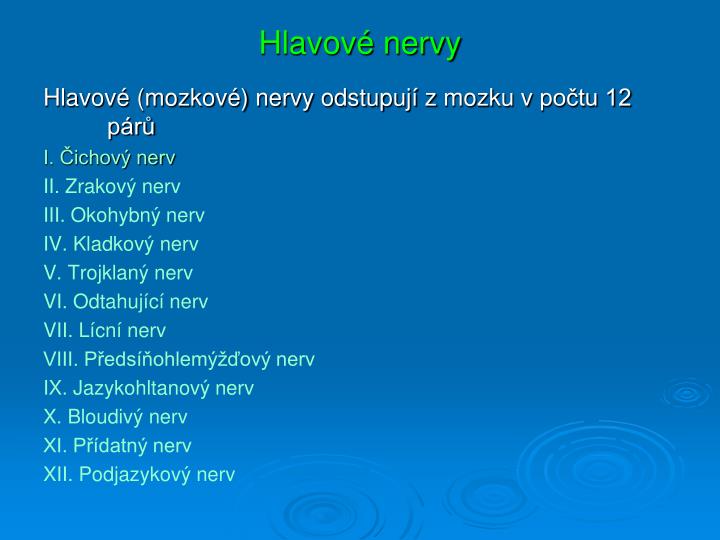 PPT - NERVOVÁ SOUSTAVA (NS) PowerPoint Presentation - ID:4812098