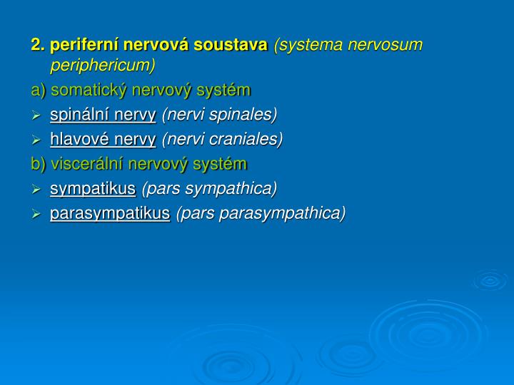 PPT - NERVOVÁ SOUSTAVA (NS) PowerPoint Presentation - ID:4812098