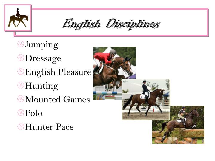 PPT - Horseback Riding PowerPoint Presentation - ID:4812368
