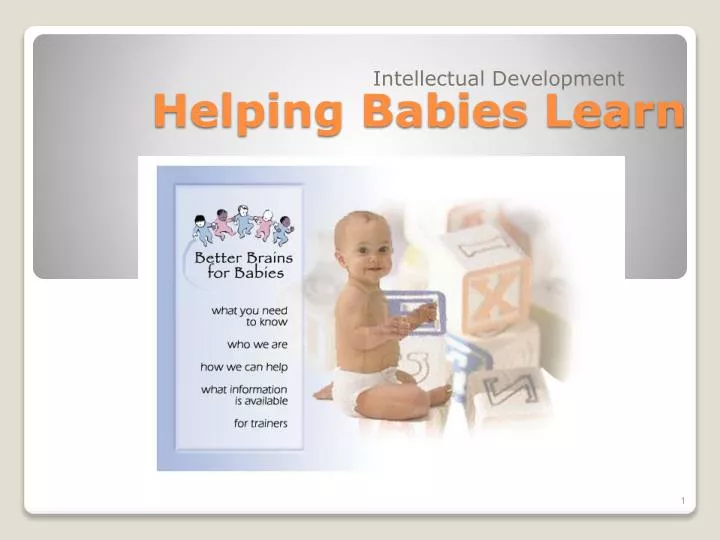 PPT - Helping Babies Learn PowerPoint Presentation, free download - ID ...