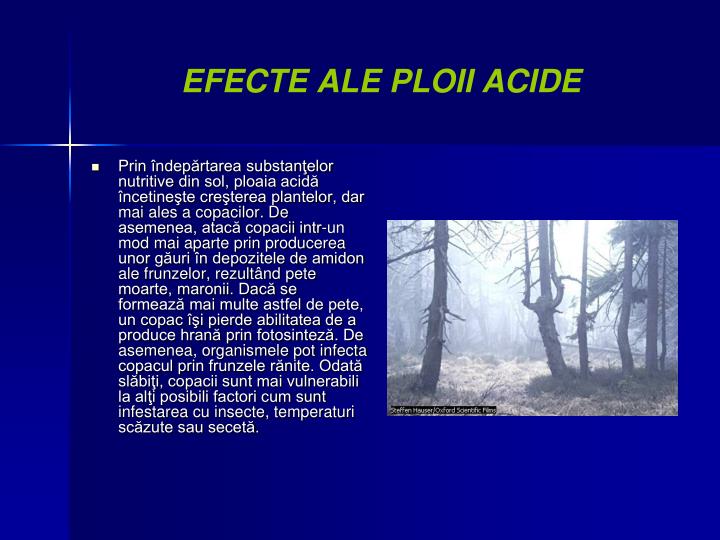 PPT - POLUAREA APEI PowerPoint Presentation - ID:4813930