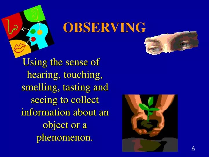 PPT - OBSERVING PowerPoint Presentation, free download - ID:4814056