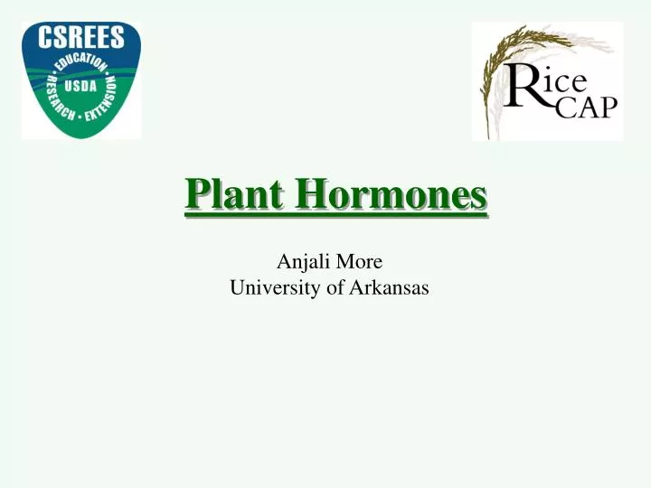 PPT - Plant Hormones PowerPoint Presentation, free download - ID:4817709