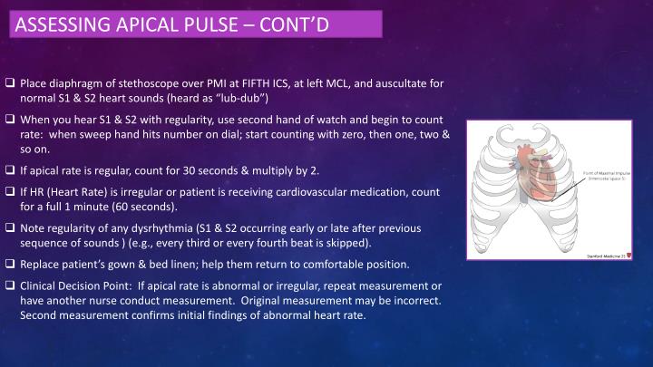 PPT - NUR 111: Skill 5-3: assessing apical pulse PowerPoint ...