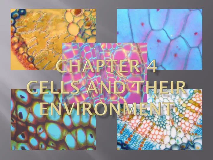 PPT - Chapter 4 Cells and Their Environment PowerPoint Presentation ...