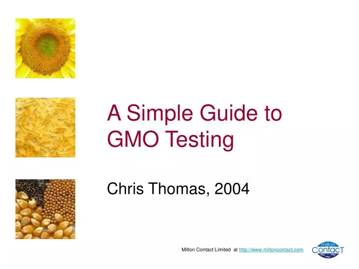 PPT - A Simple Guide to GMO Testing PowerPoint Presentation, free ...