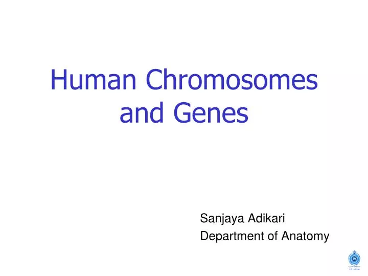 PPT - Human Chromosomes and Genes PowerPoint Presentation, free ...