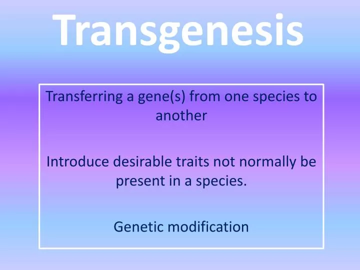 PPT - Transgenesis PowerPoint Presentation, free download - ID:4824184