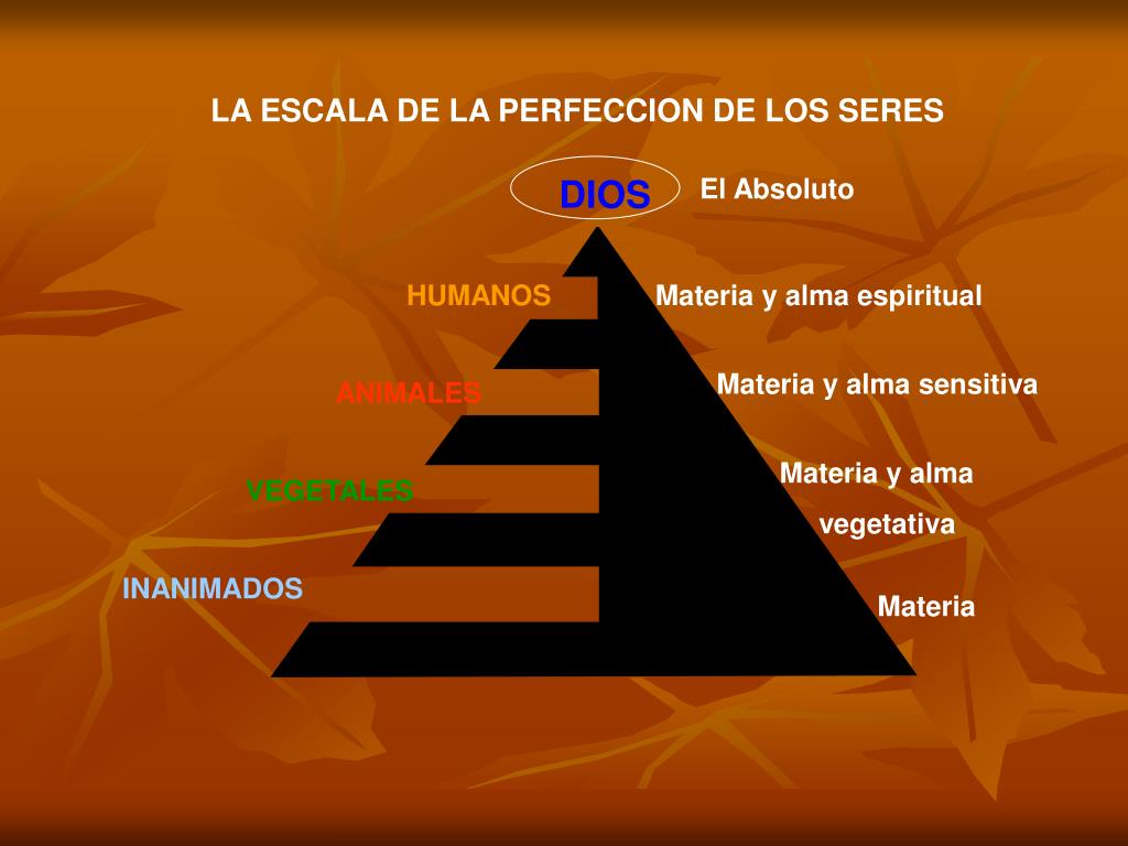 PPT - FORMACION HUMANISTICA TEMA 1.- La persona humana PowerPoint ...