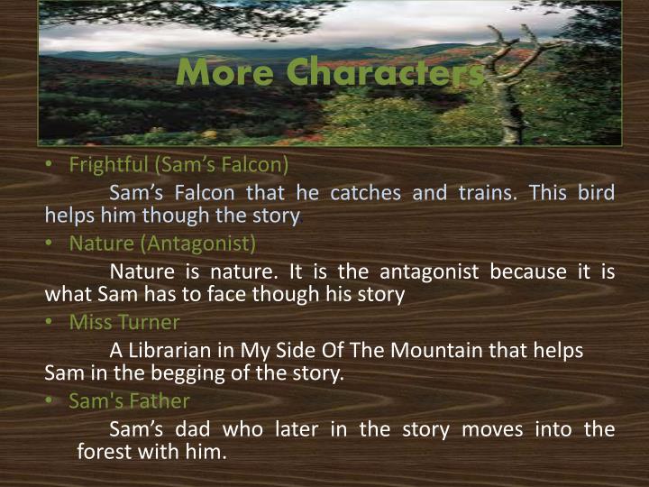 PPT - My Side of the Mountain PowerPoint Presentation - ID:4825547