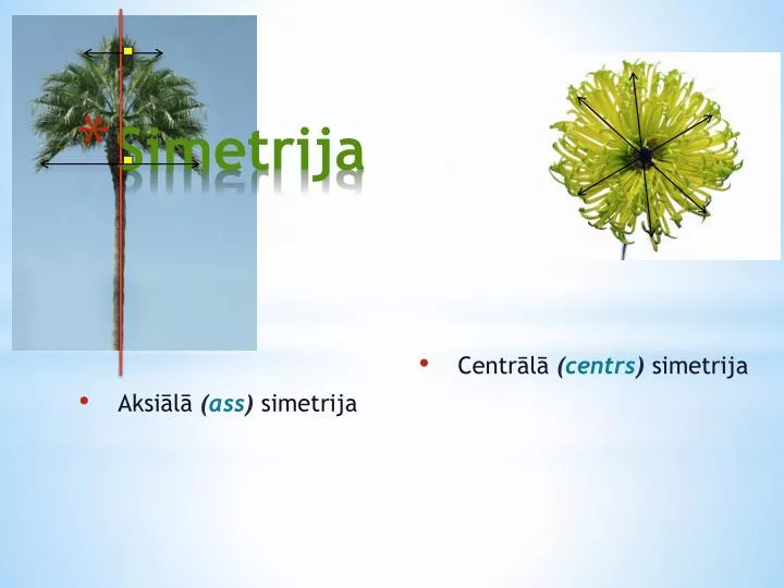 PPT - Simetrija PowerPoint Presentation, free download - ID:4826931