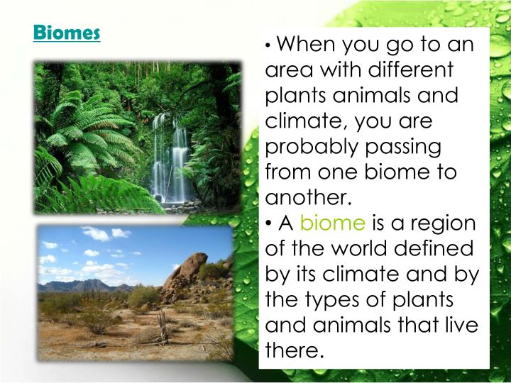 PPT - B(4-4) What are biomes? PowerPoint Presentation - ID:4827651
