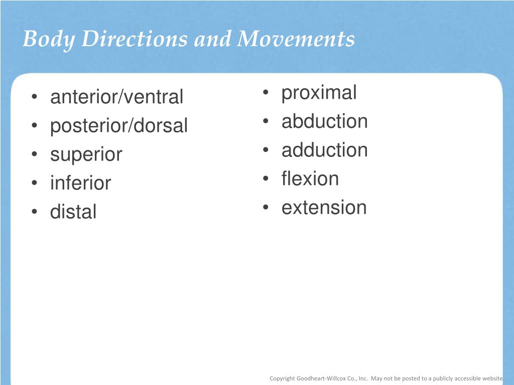 PPT - Medical Terminology and Disease PowerPoint Presentation, free ...