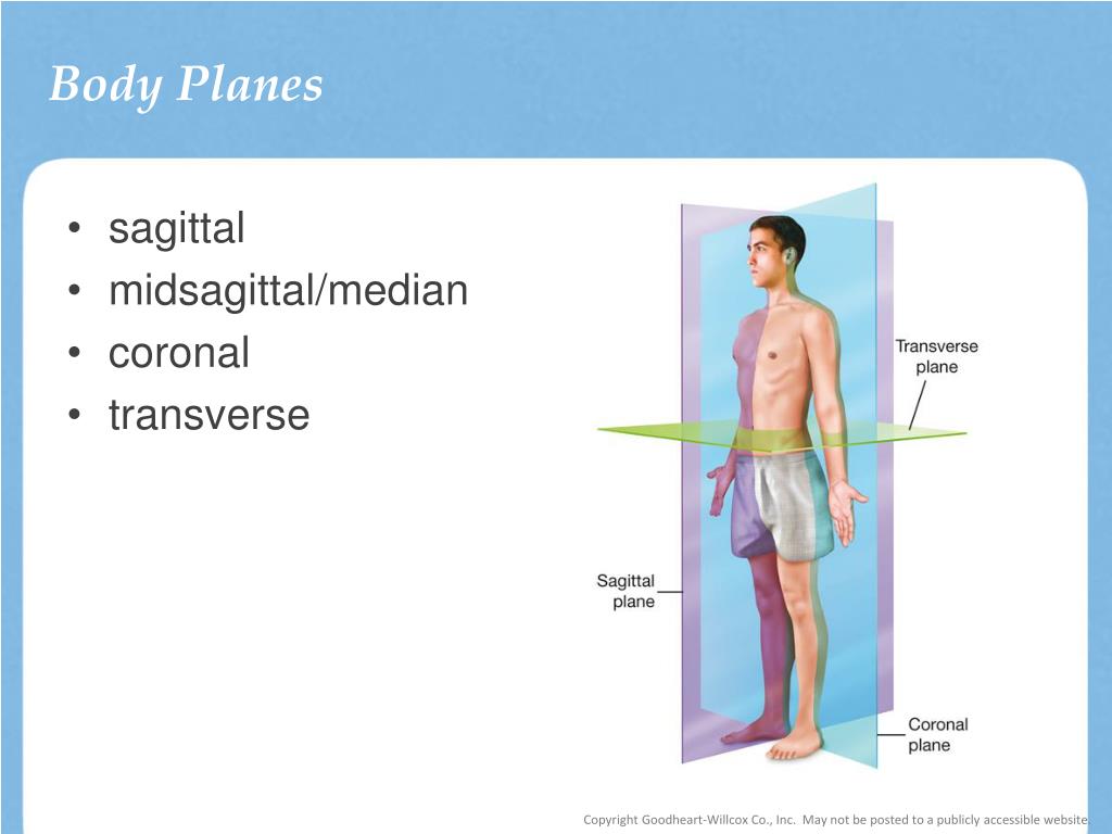 PPT - Medical Terminology and Disease PowerPoint Presentation, free ...
