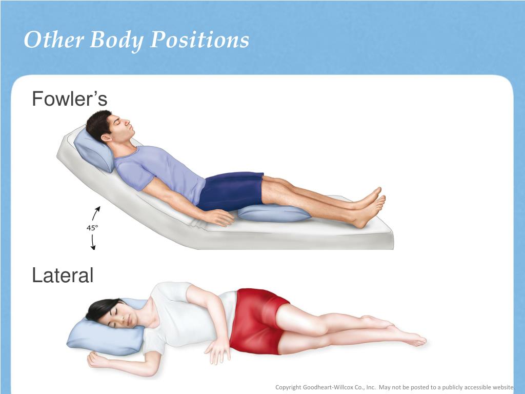 PPT - Medical Terminology and Disease PowerPoint Presentation, free ...