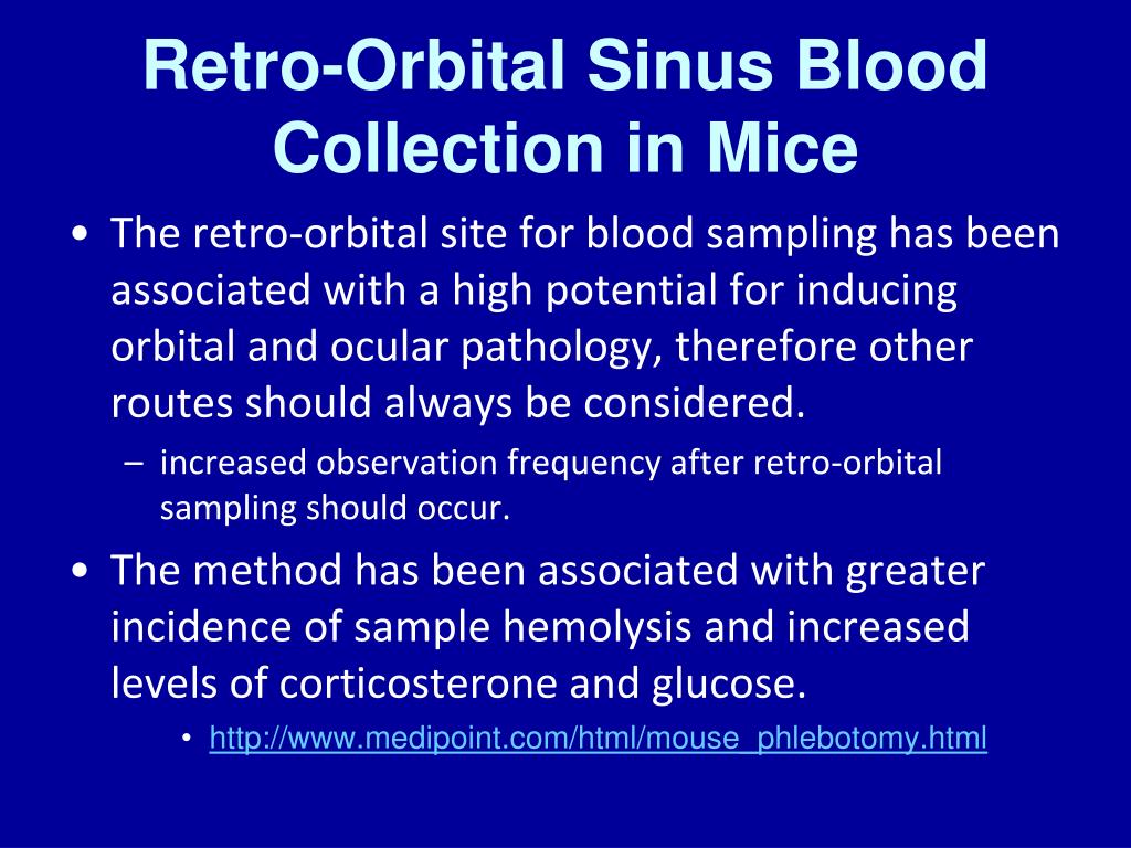 PPT - Retrobulbar Injection & Retro-Orbital Bleeds PowerPoint ... PPT - Retrobulbar Injection & Retro-Orbital Bleeds PowerPoint ...