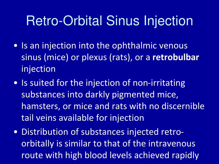 PPT - Retrobulbar Injection & Retro-Orbital Bleeds PowerPoint ... PPT - Retrobulbar Injection & Retro-Orbital Bleeds PowerPoint ...